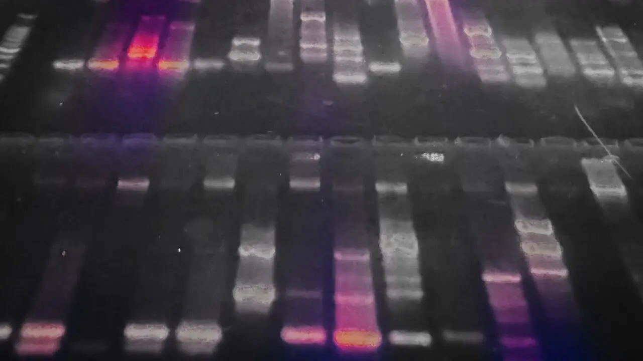 Automating Any Lab Application Automata Automata